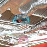 Chiki Planet – Salón para Fiestas Infantiles